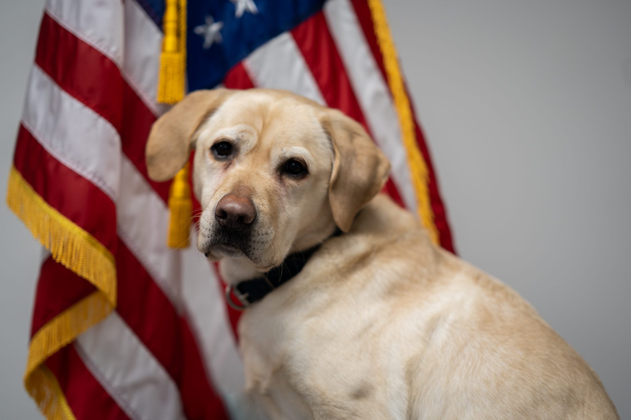 Personnel – Newington Police Department